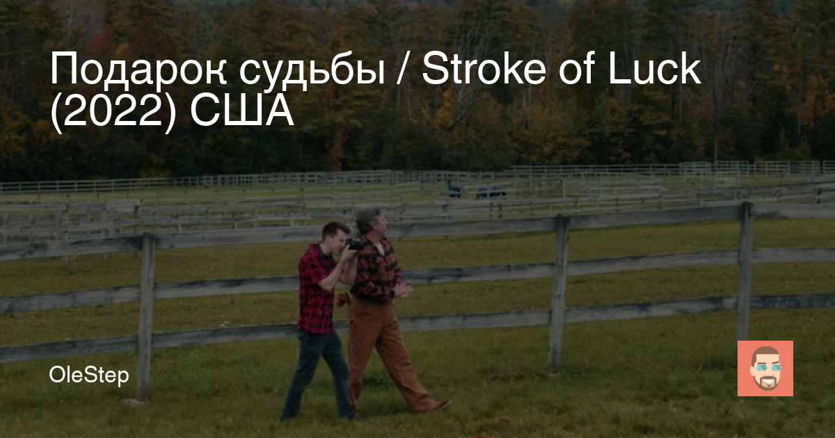 Подарок судьбы / Stroke of Luck (2022) США | LibArea